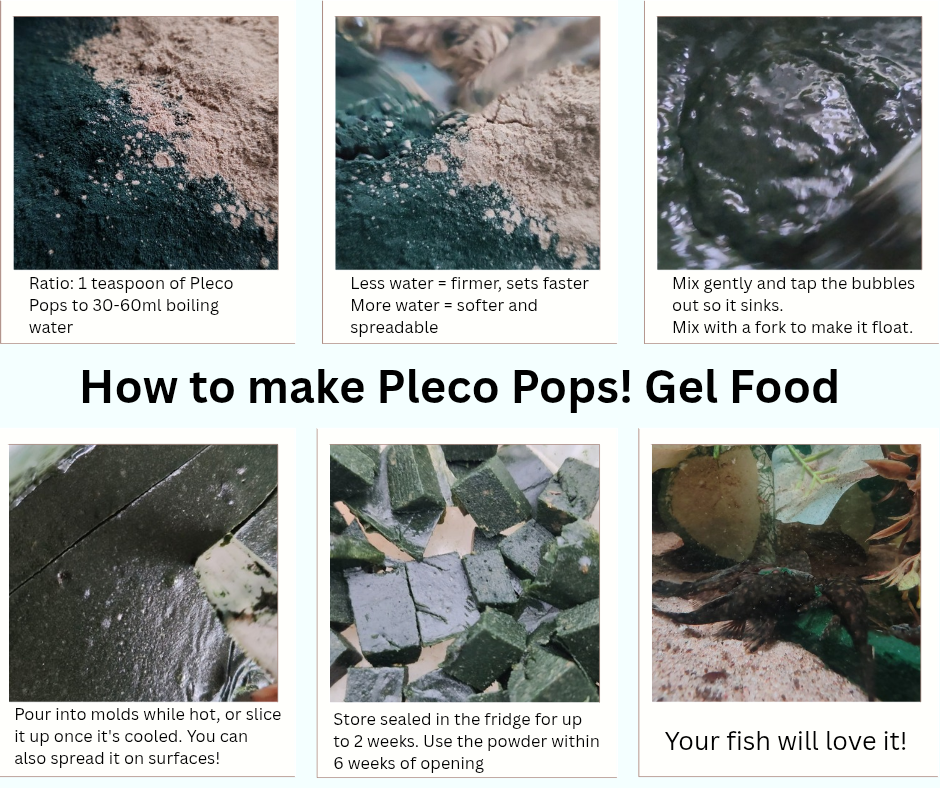 Pleco Pops! Powder Mix Gel Fish Food - 40g – In The Bag! Tropical Fish UK
